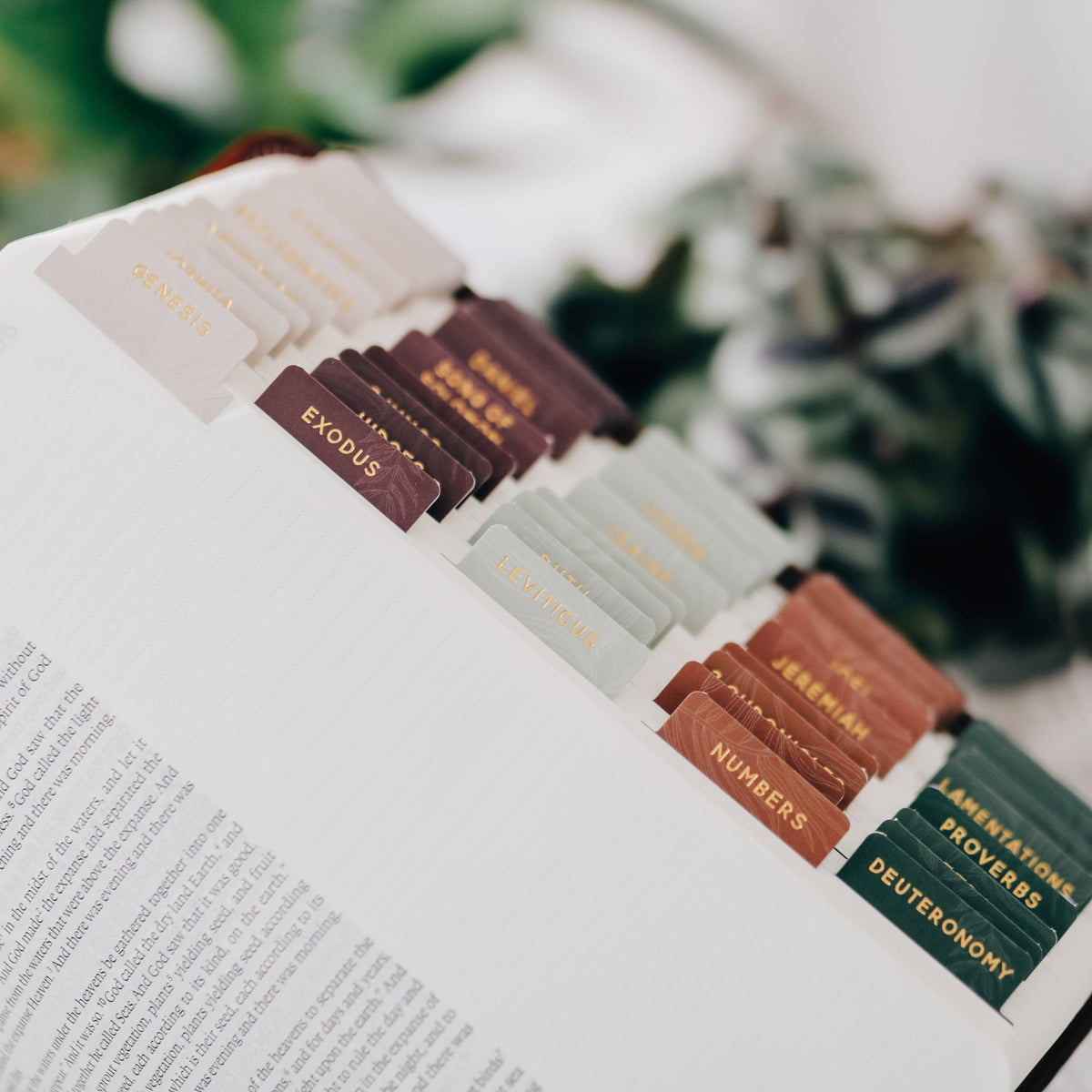 Jewel Tone Bible Tabs – Shopaholics Only Boutique